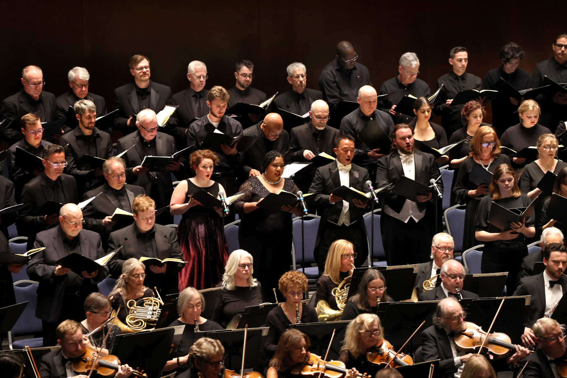 The LOTUS Project: A Rising Star in the Trenton Arts Community ...